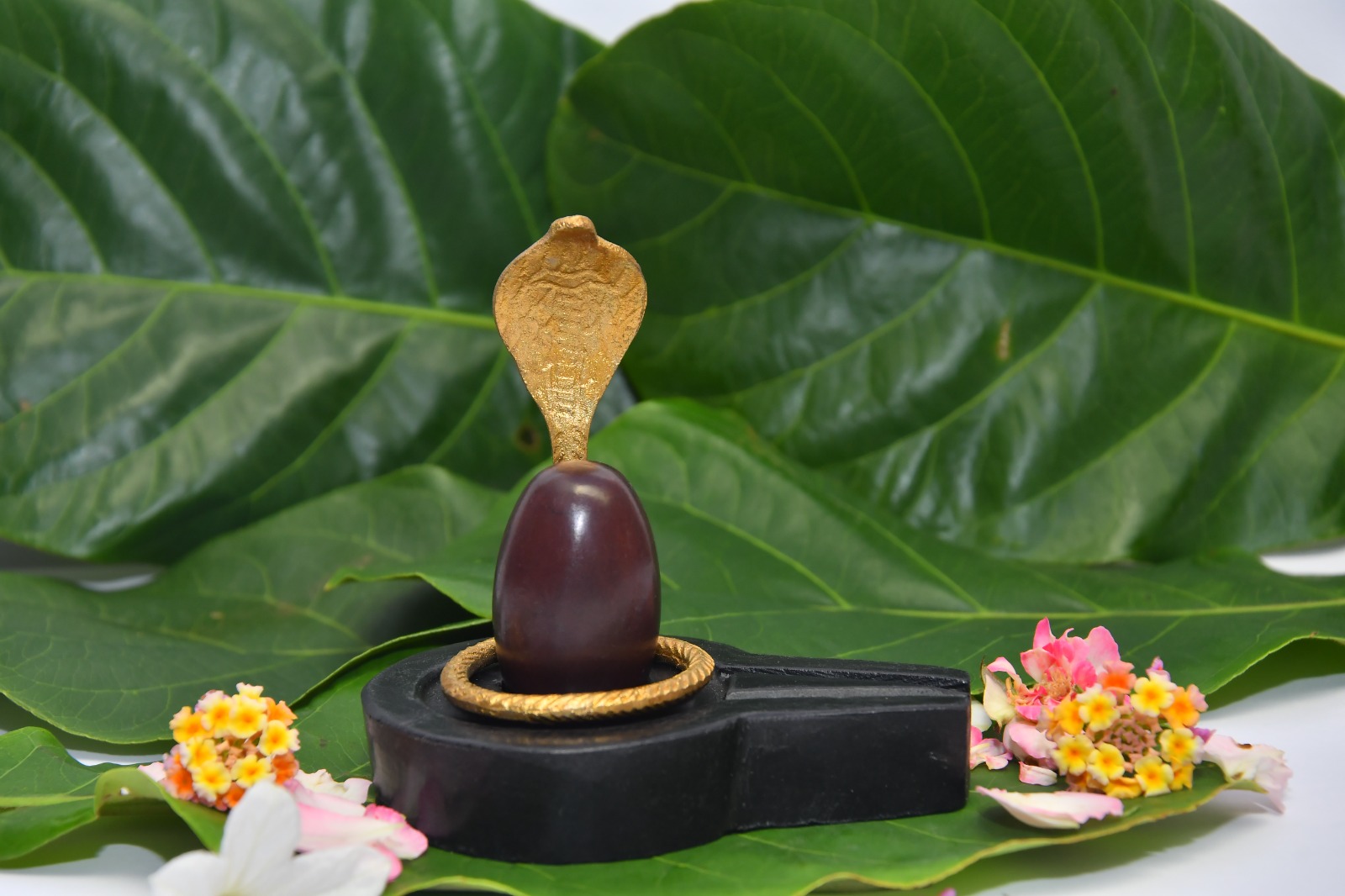 Shivling for home – Harishankar Shivling Shop